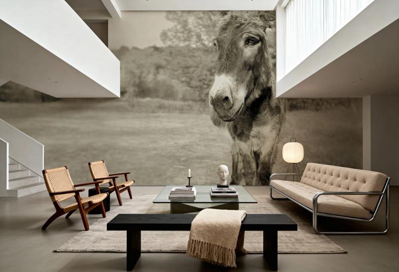 Donkey Tilt Sepia wallpaper mural 100% PVC-free and non-toxic