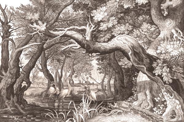 Garden of Eden, Sepia wallpaper mural 100% PVC-free and non-toxic