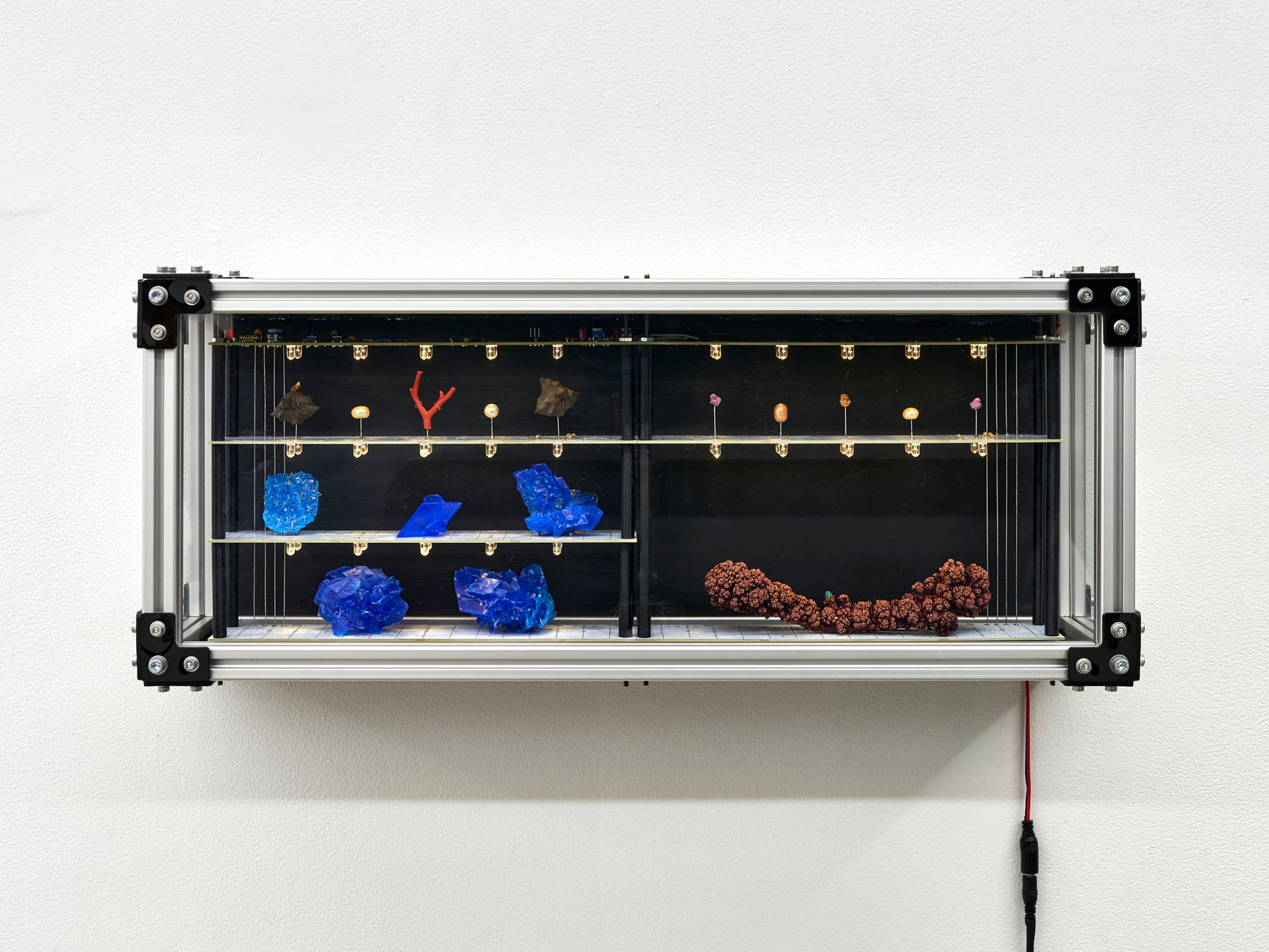 Display Case 3 (A Mind) | Blade Study