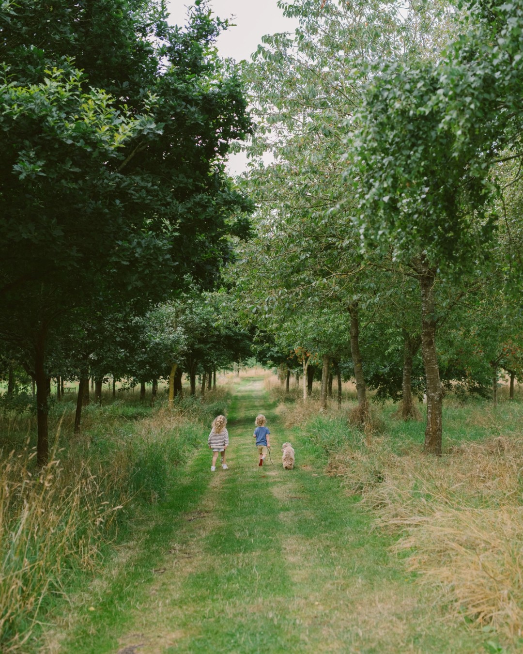 Visiting Our Natural Burial Grounds | Tithe Green Natural Burial