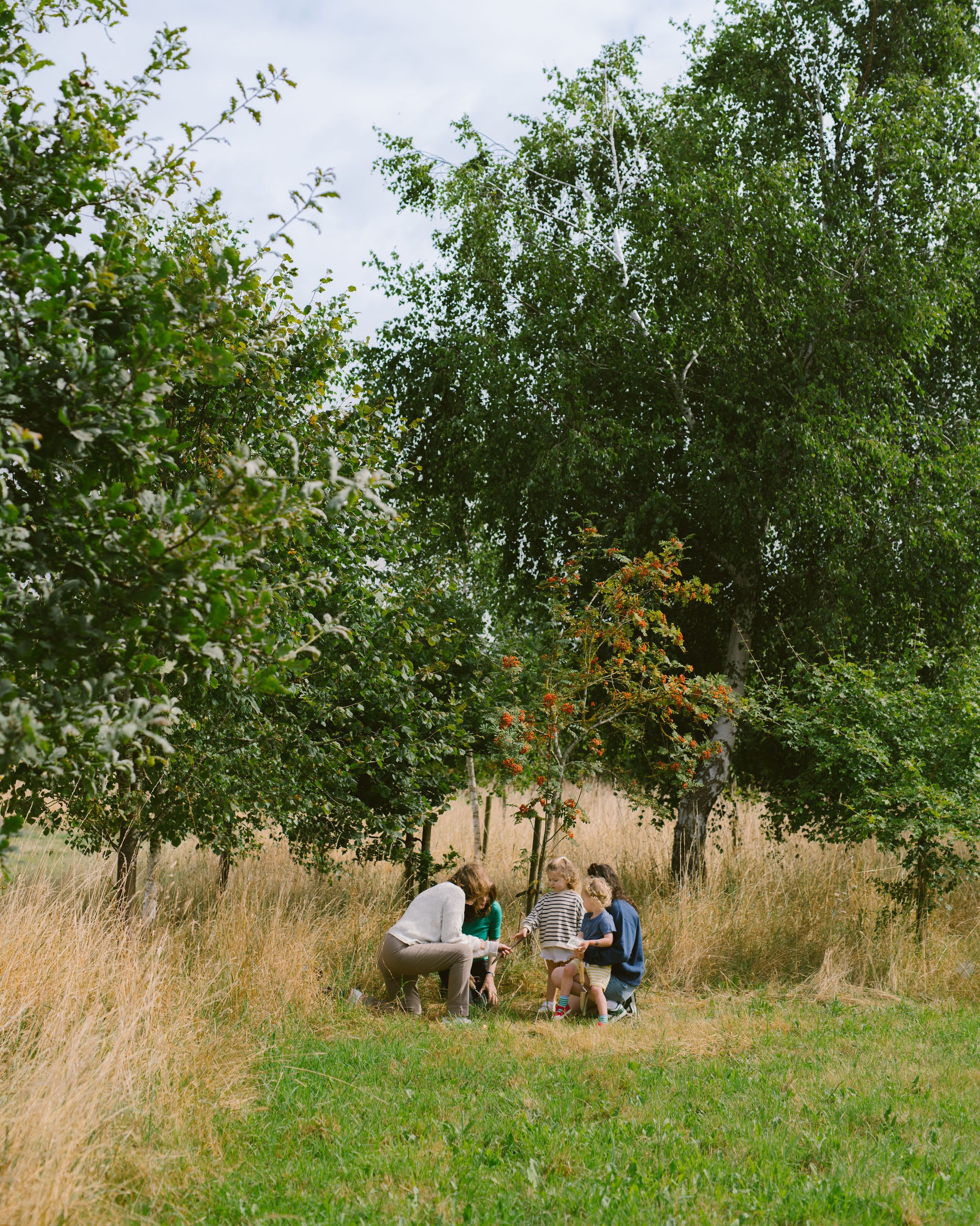 Visiting Our Natural Burial Grounds | Tithe Green Natural Burial