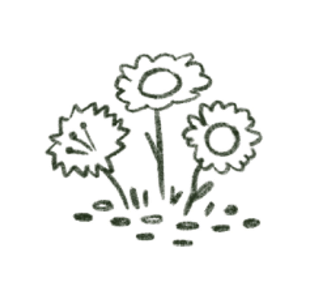 How Natural Burial Works | Tithe Green Natural Burial