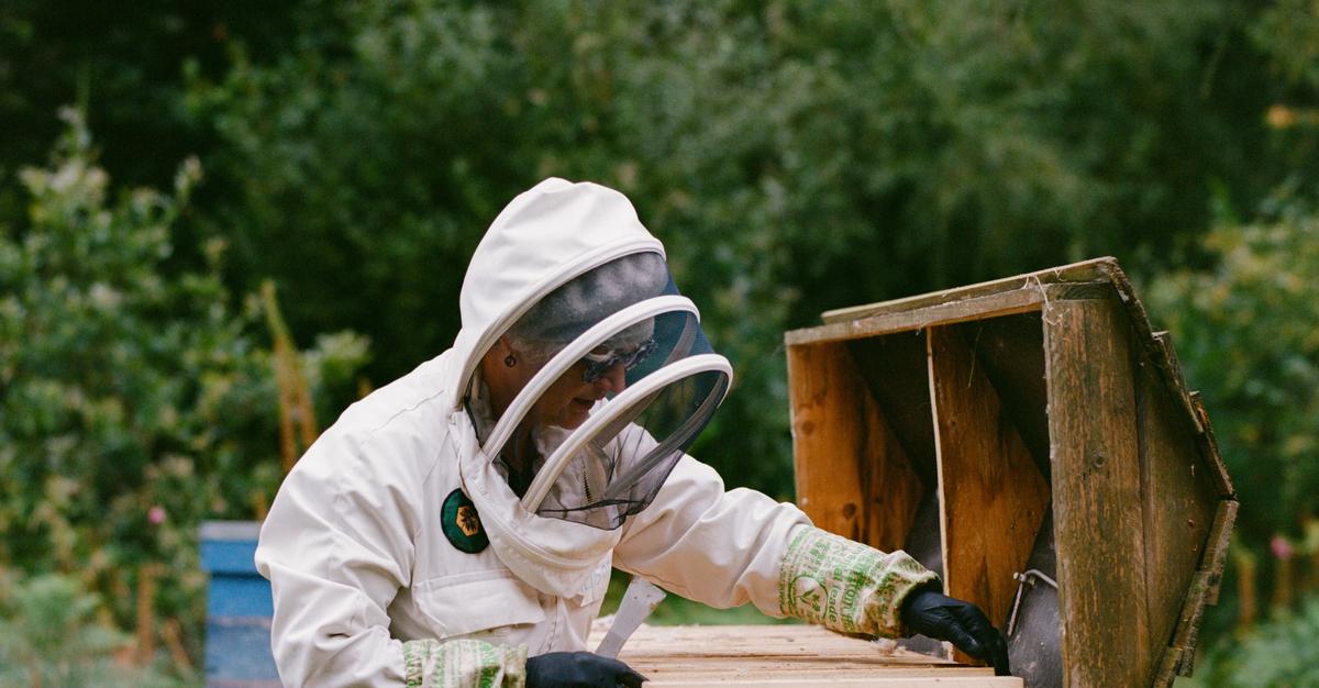 Meet Our Resident Bee Keeper & Local Celebrant; Alison Knox | Tithe ...