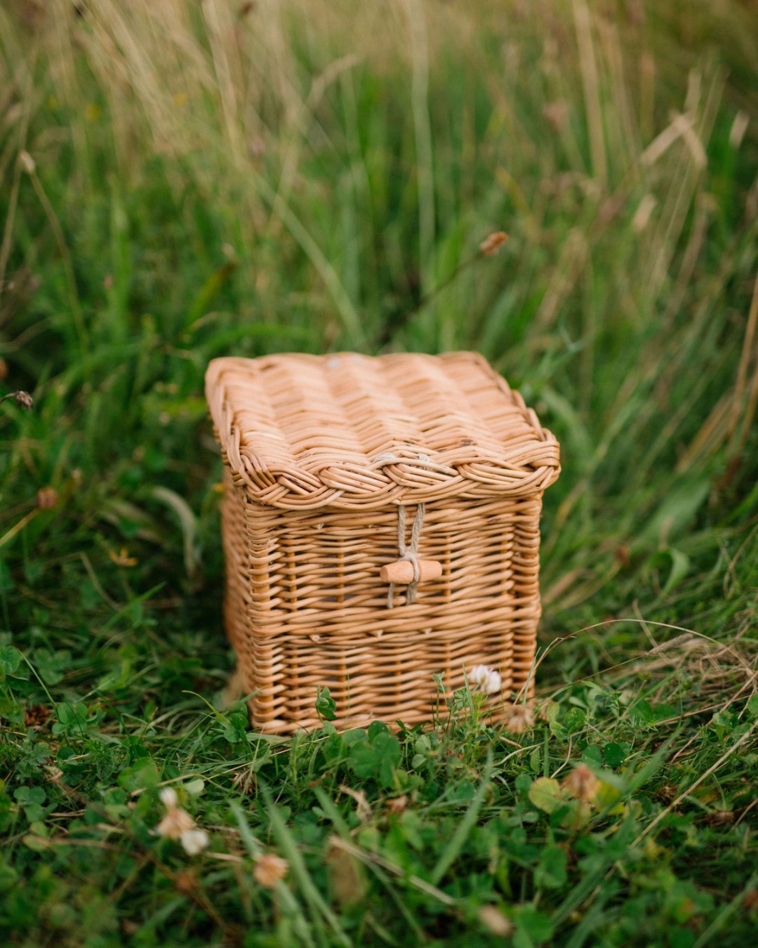 A complete guide to biodegradable coffins, urns & shrouds | Tithe Green ...