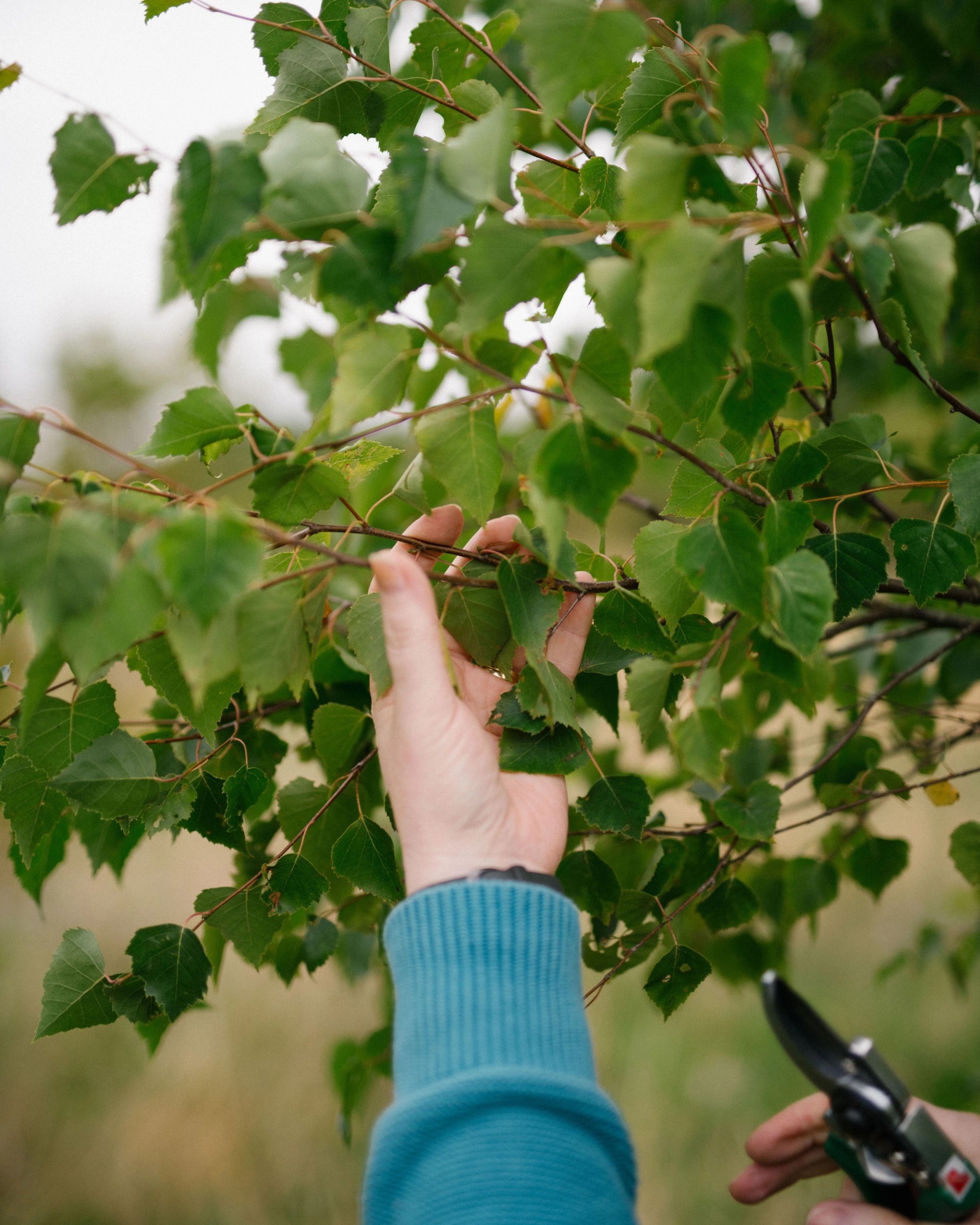 Meet Our Team | Tithe Green Natural Burial