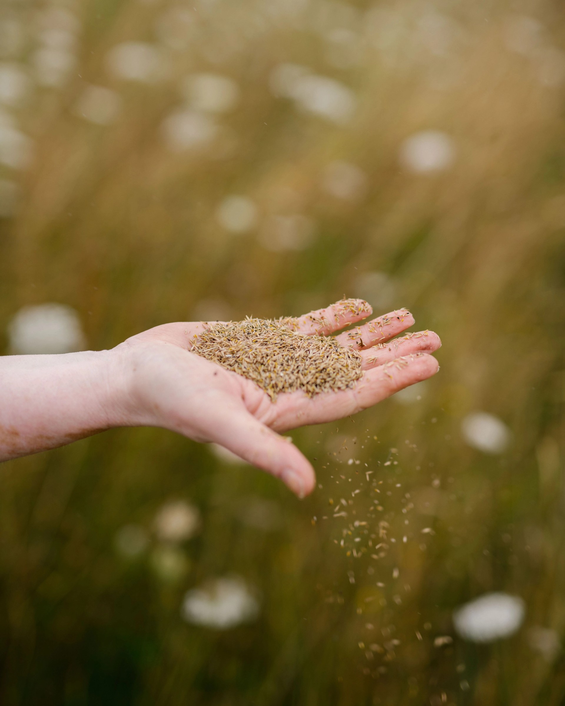 About us | Tithe Green Natural Burial