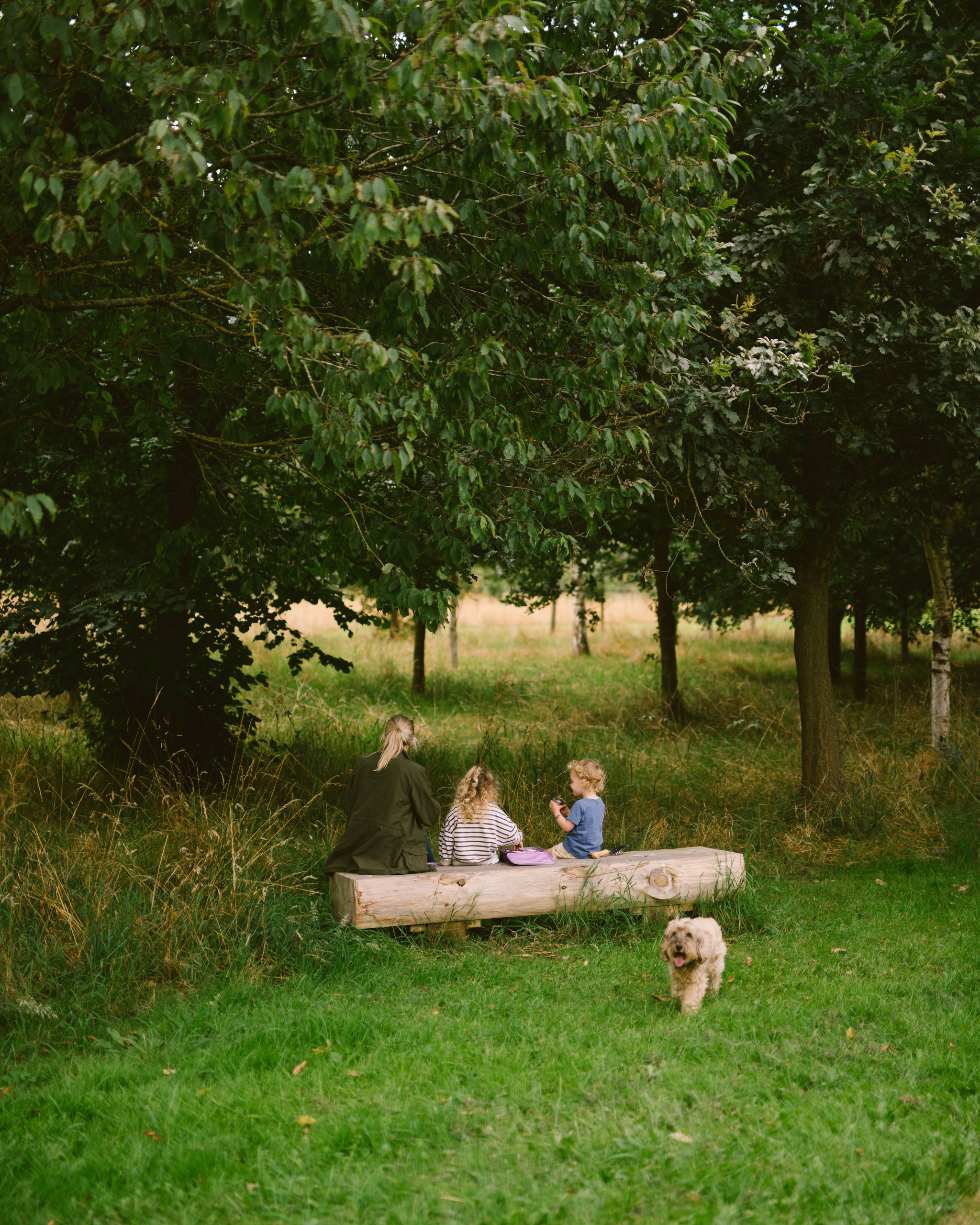 Visiting Our Natural Burial Grounds | Tithe Green Natural Burial