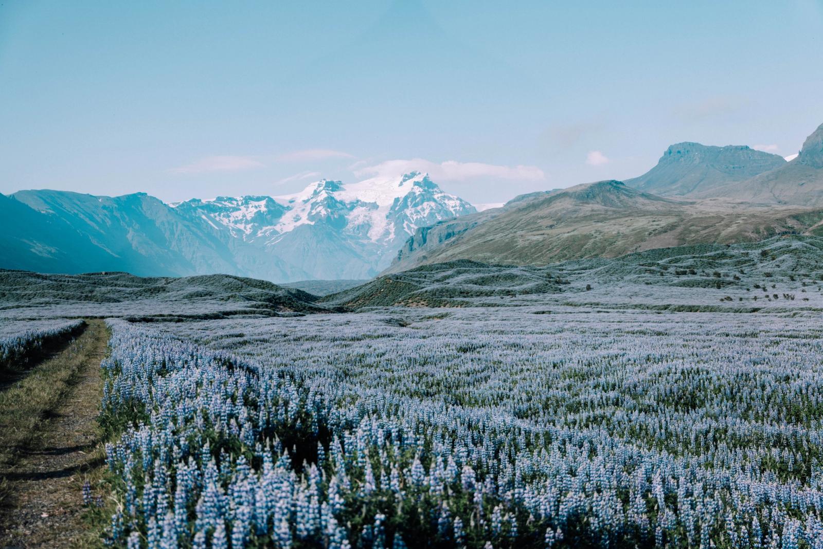 Phase Hooded Sweater - Total Eclipse