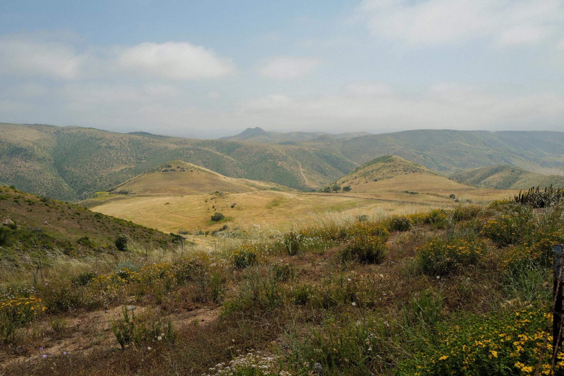 The Glorious Sights of Baja California, Mexico