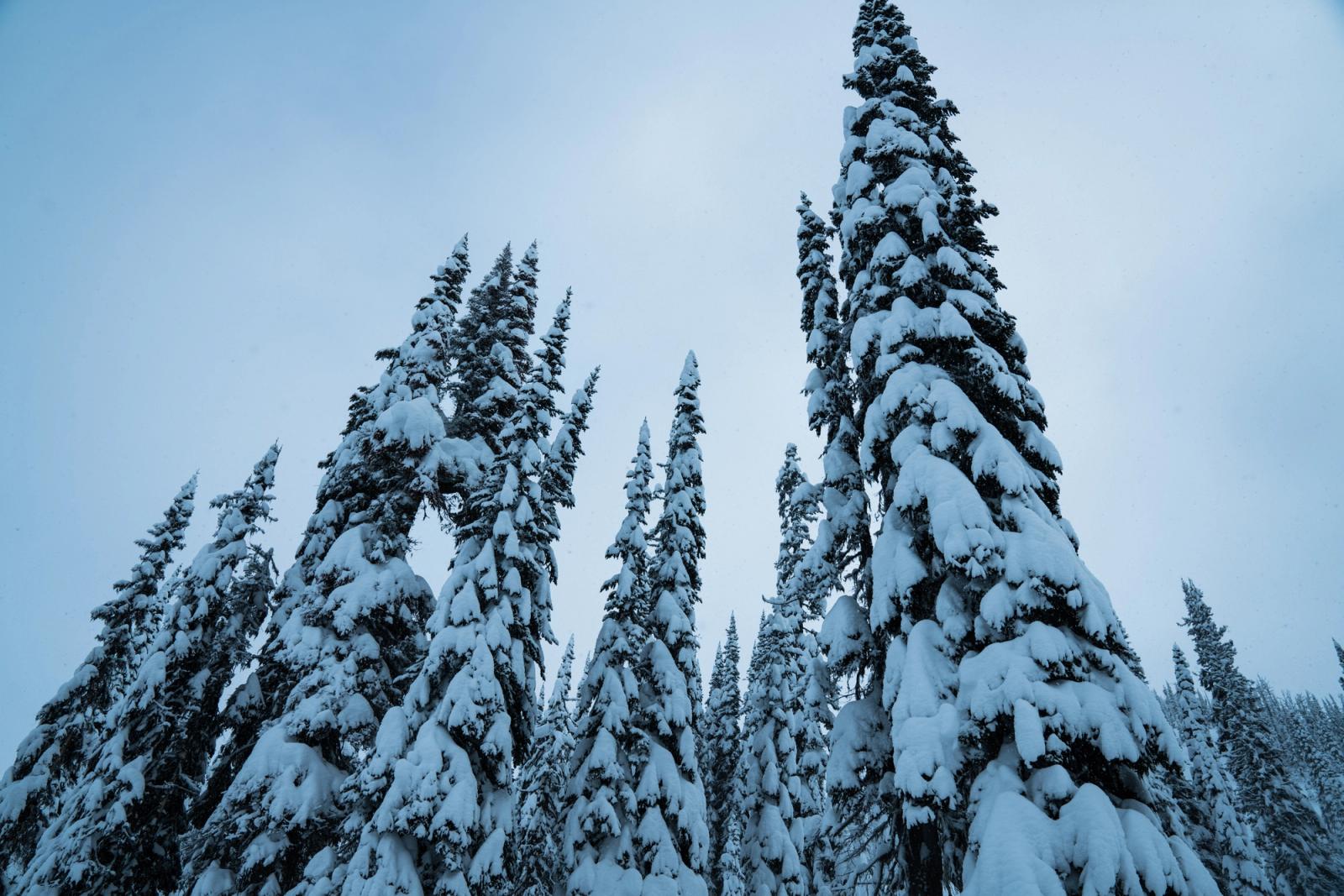 Photo Essay: Baldface Lodge, Pt. 1