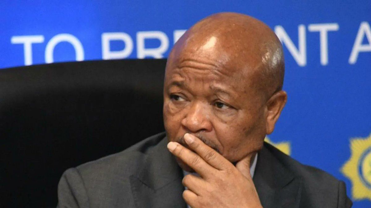 SAPS Legal Chief: Minister Mchunu's Order to Disband Crime Task Team ...