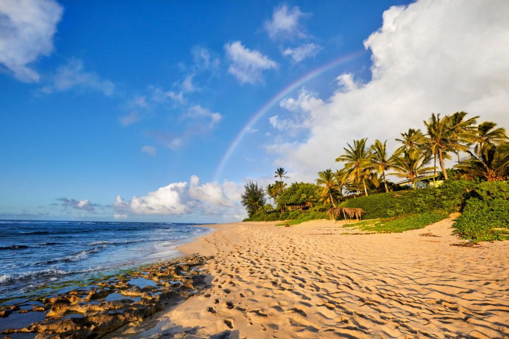 Your Guide to Oahu's North Shore Beaches | Hawaii.com