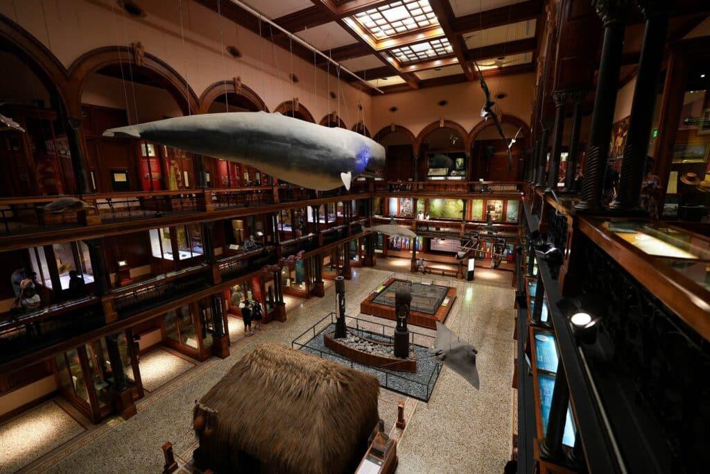 Discover the Bishop Museum: A Cultural Treasure in Honolulu | Hawaii.com