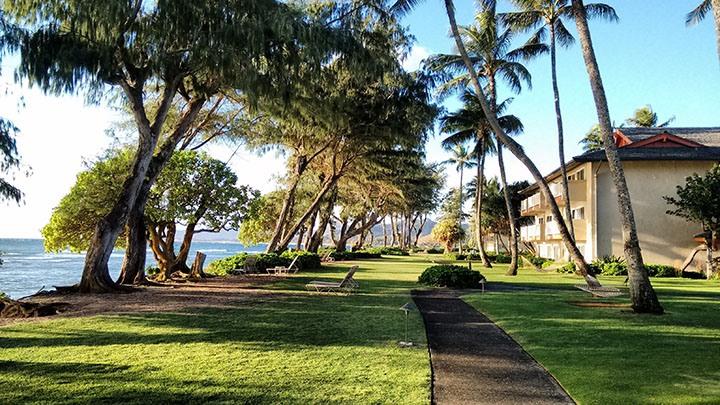 Staying Safe in Paradise: 4 Tips for Enjoying Your Hawaii Vacation ...