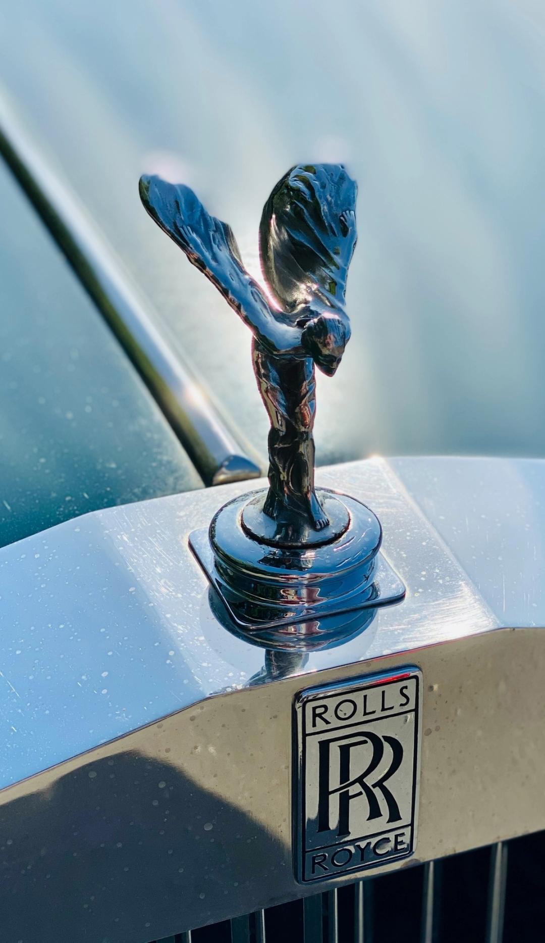 How To Write an Introduction | Writing Examples