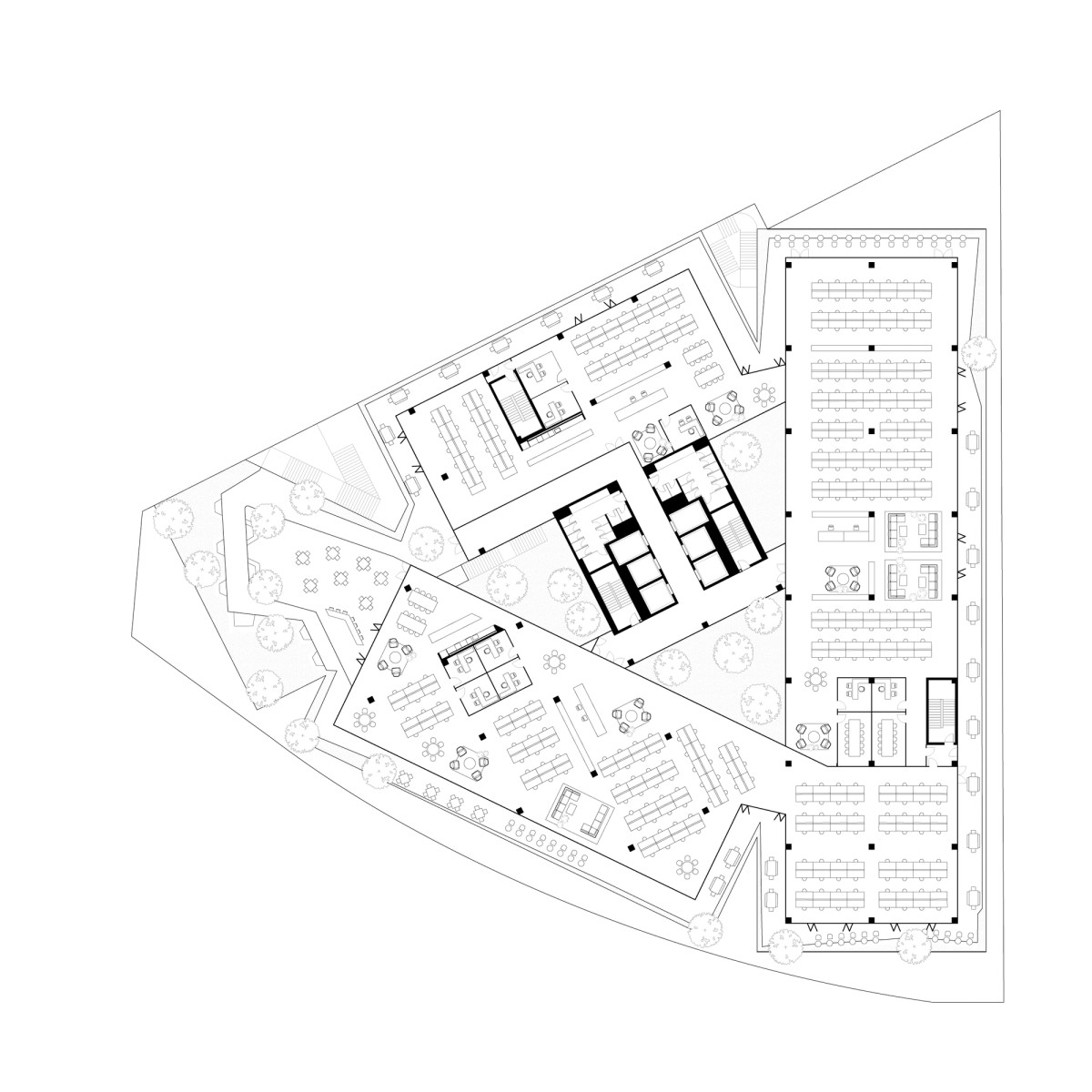 Washington Adams | West Of West