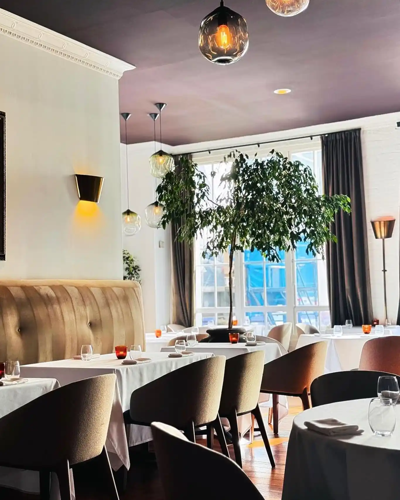 Otto, Auckland CBD, Auckland - TheCoolList