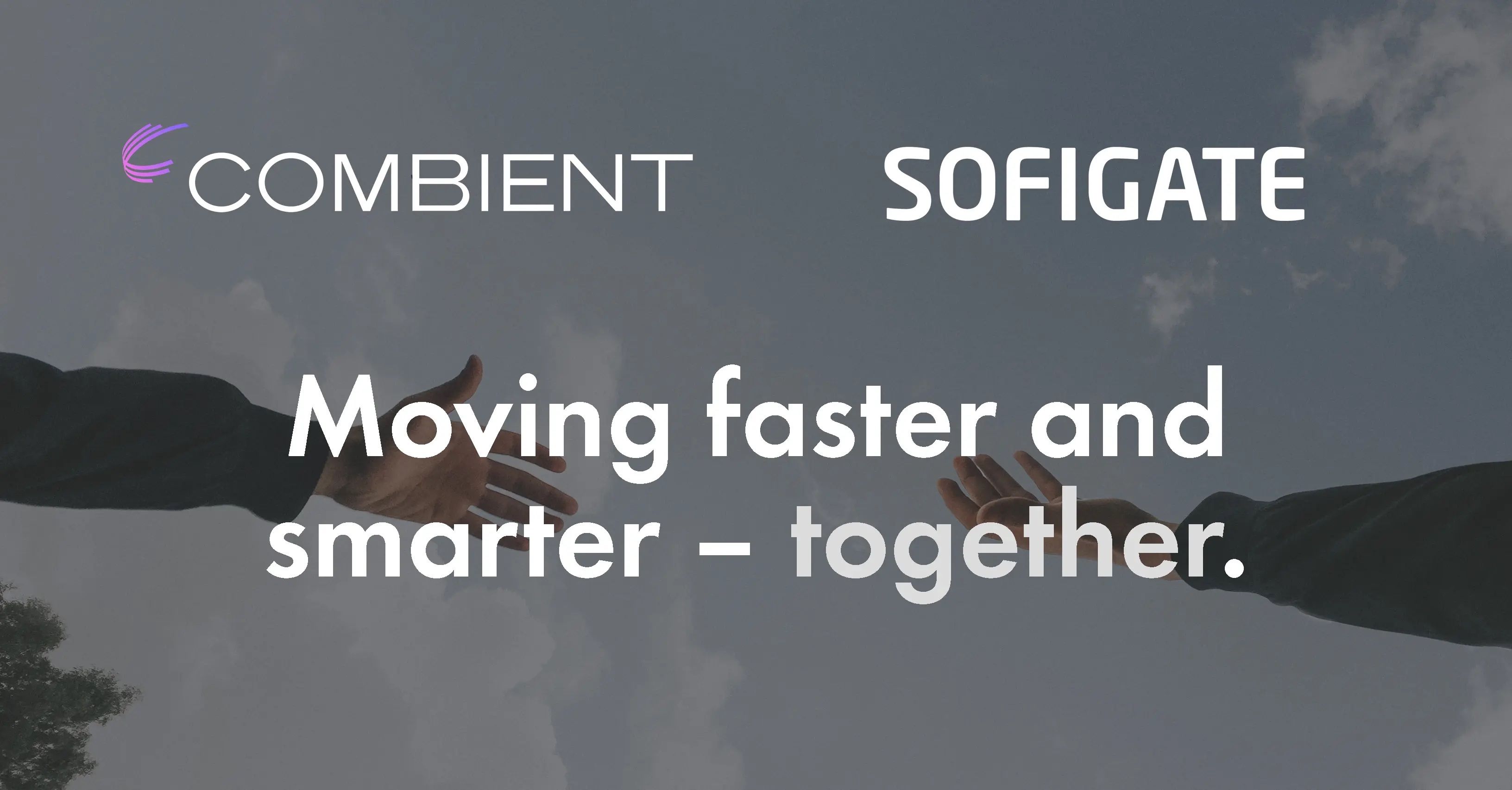 Strategic Partners | Combient