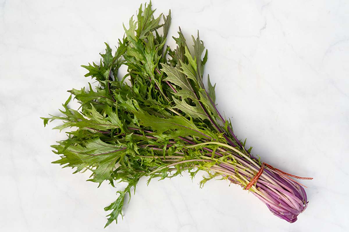 Buy Green or Purple Mizuna For Delivery Near You | Farm To People