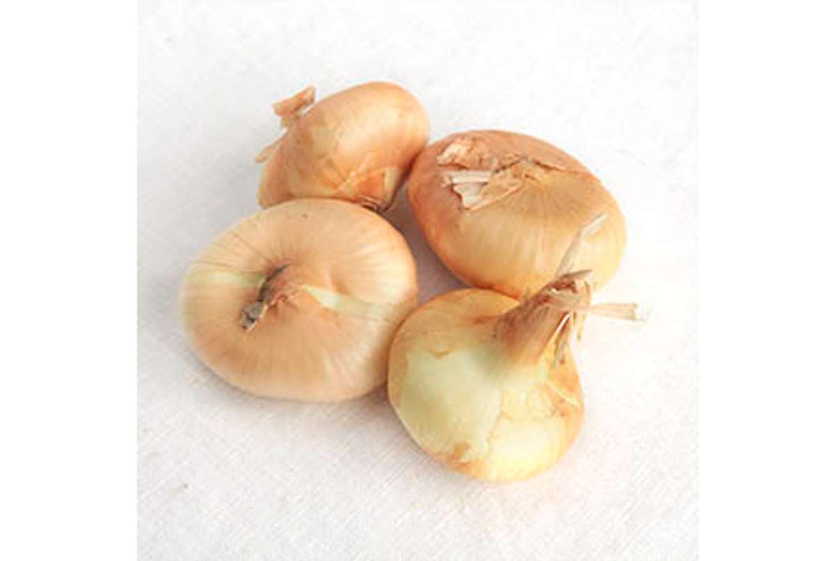 Buy Sweet Yellow Onions For Delivery Near You | Farm To People