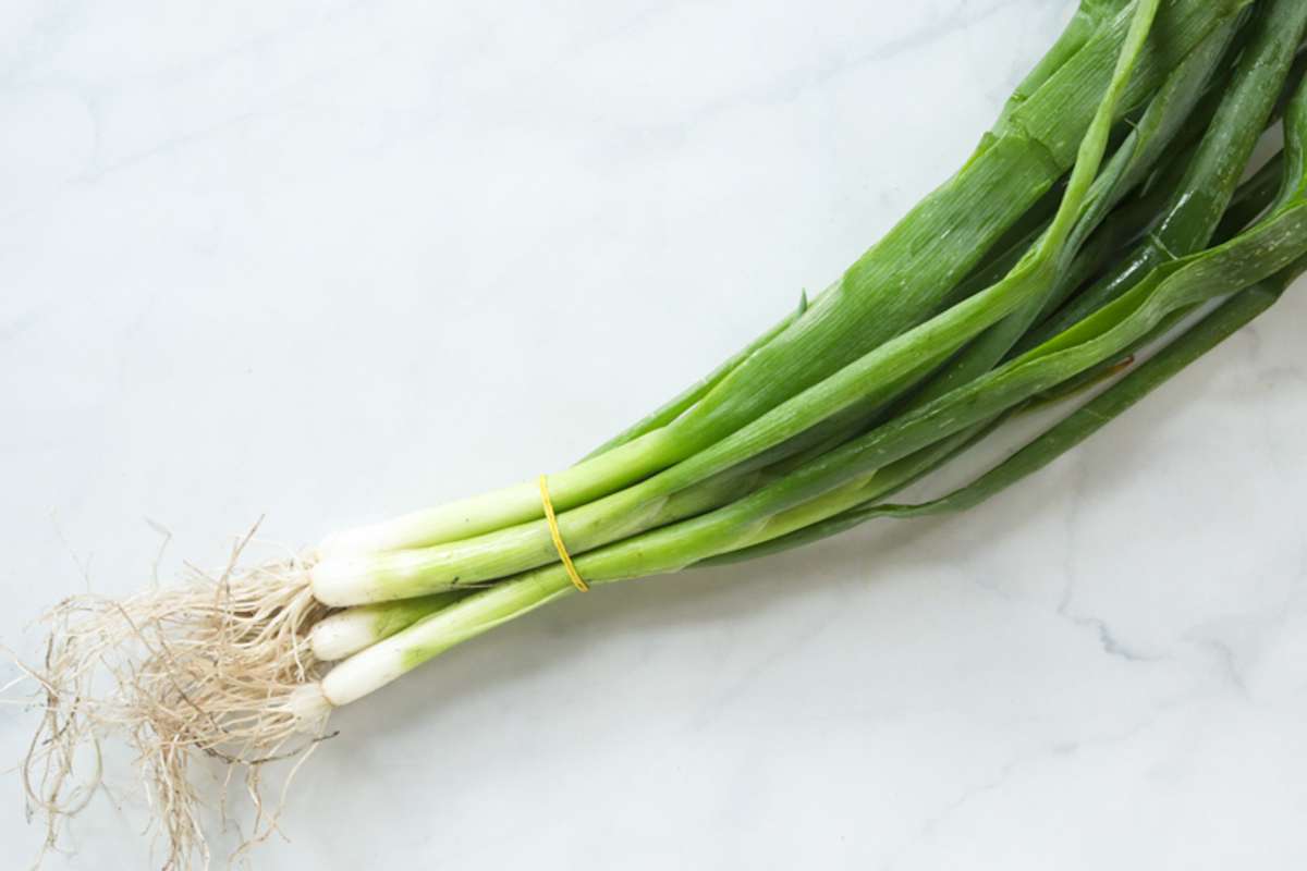 Buy Scallions (Organic) For Delivery Near You | Farm To People