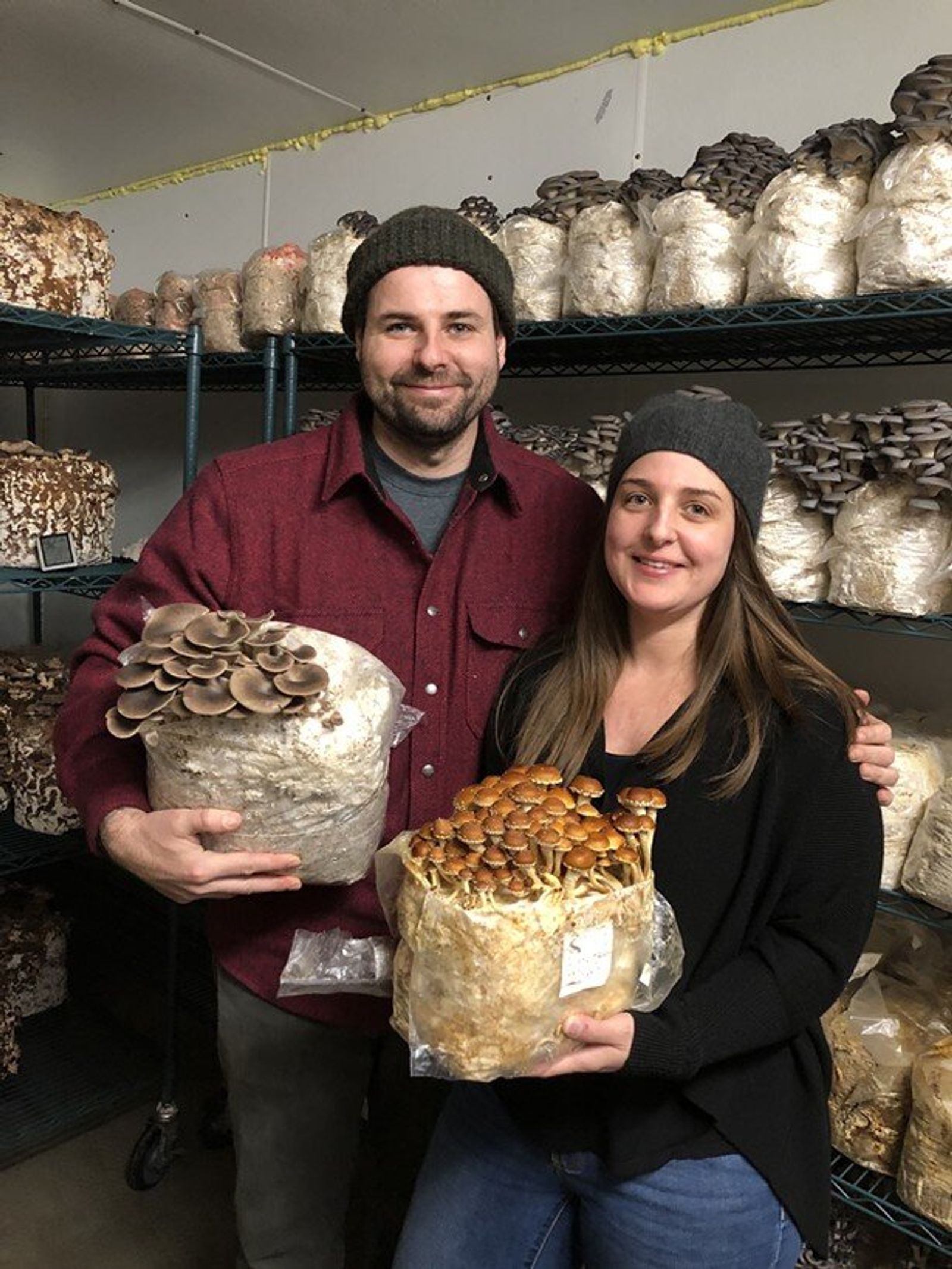 Buy Beech Mushrooms (Organic) For Delivery Near You | Farm To People
