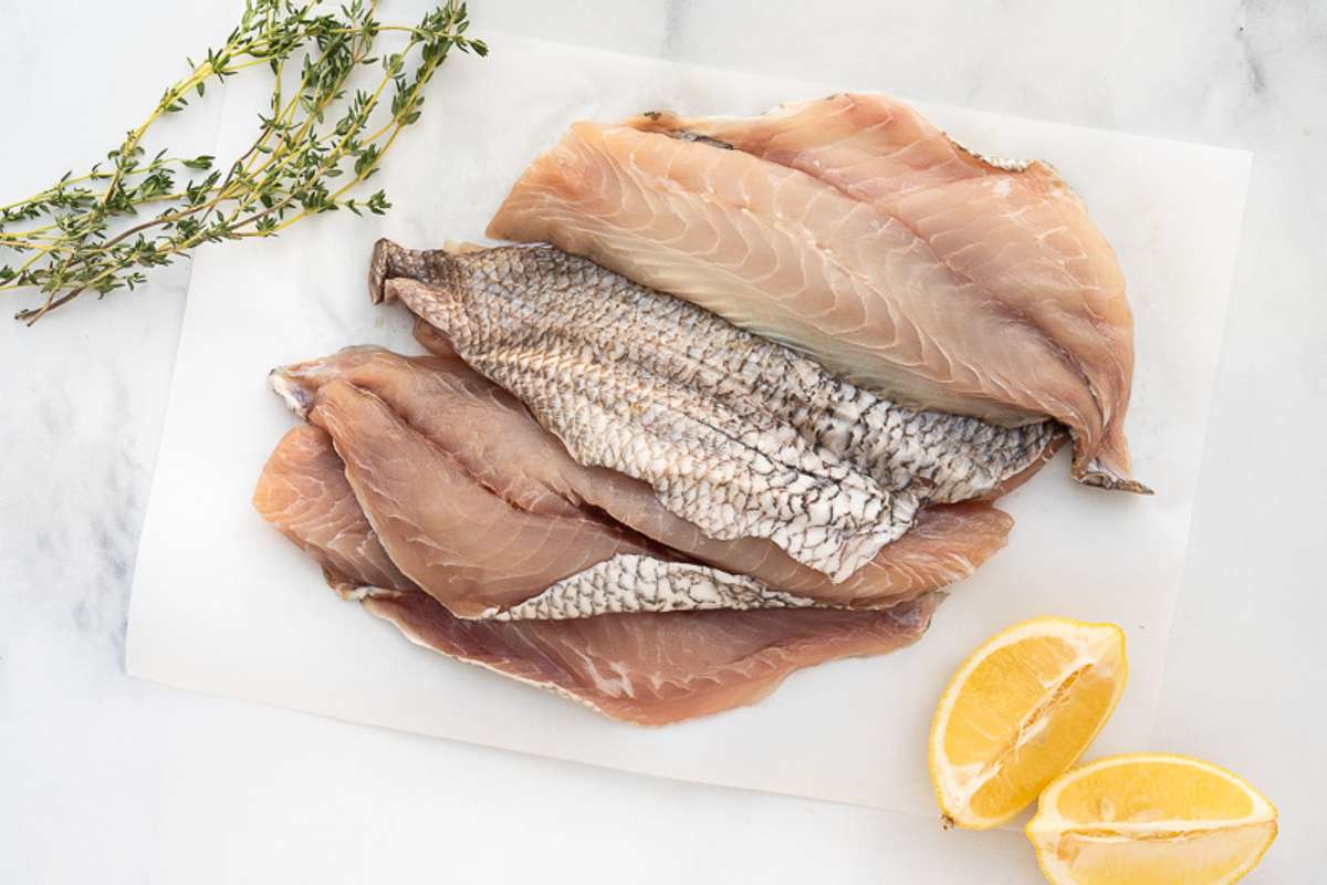 Buy Porgy Fillets (Scup) For Delivery Near You | Farm To People