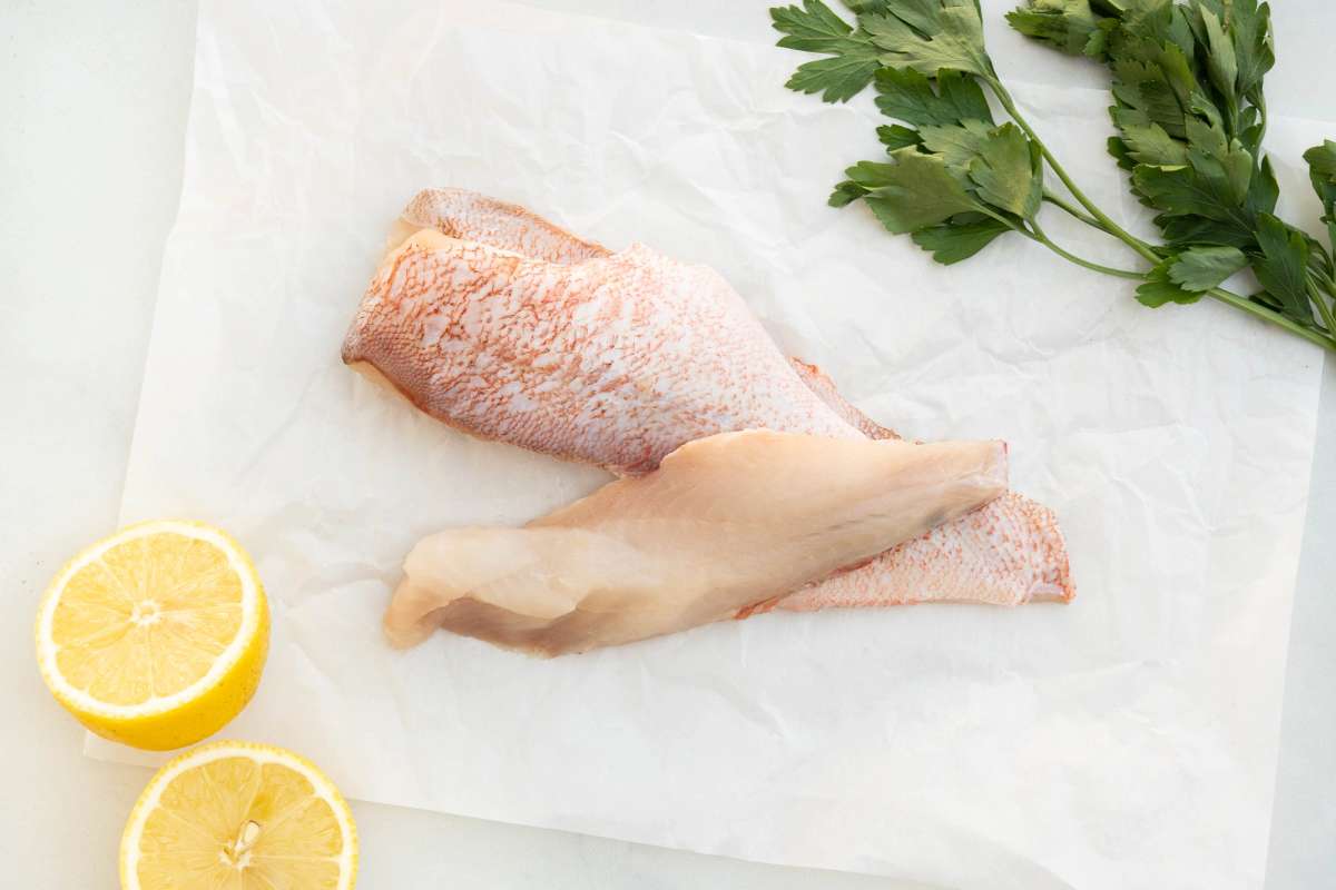 Buy Acadian Redfish For Delivery Near You | Farm To People