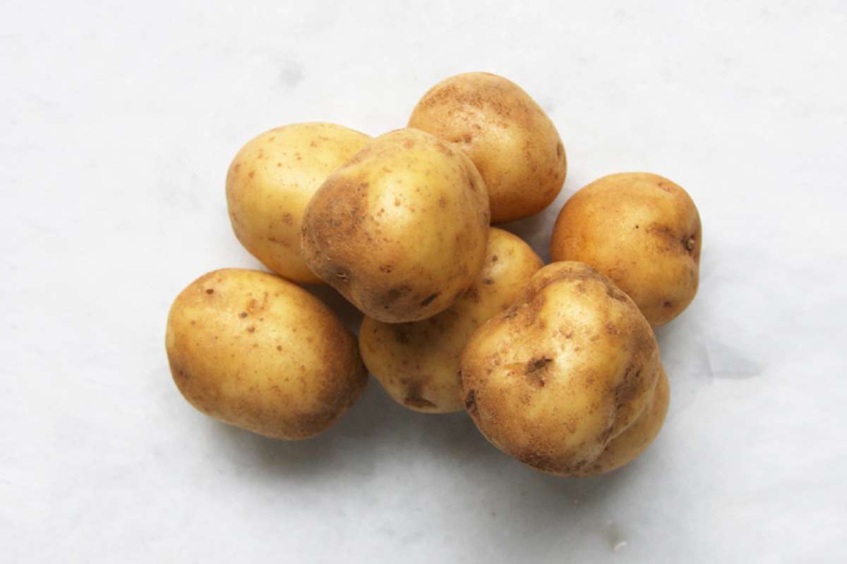 Buy German Butterball Potatoes (Organic) For Delivery Near You | Farm ...