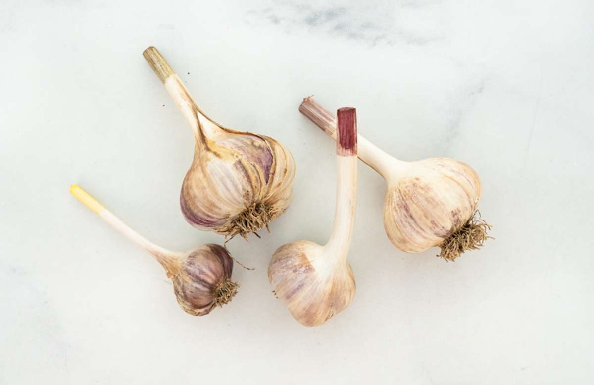 Buy Mixed Heirloom Garlic (Organically Grown) For Delivery Near You ...