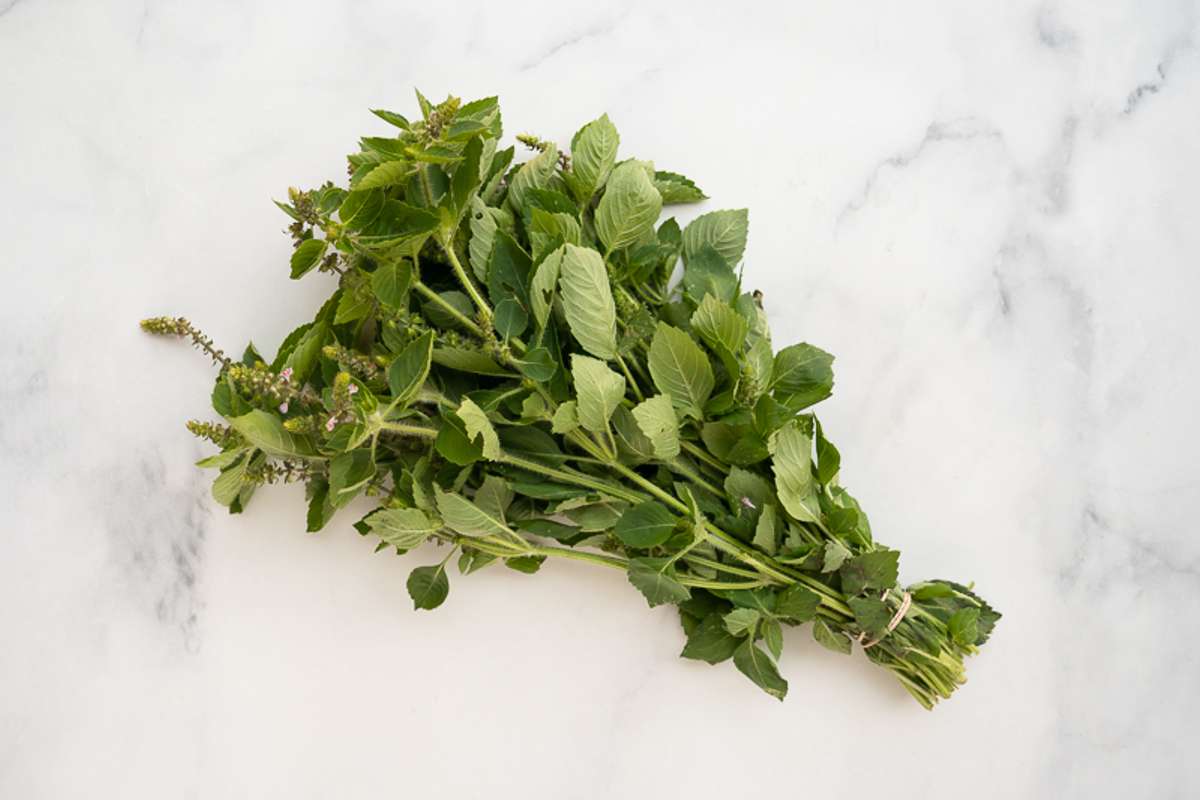 Buy Holy Basil (Organic) For Delivery Near You | Farm To People