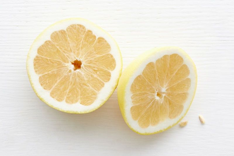 Buy White Marsh Grapefruit For Delivery Near You | Farm To People