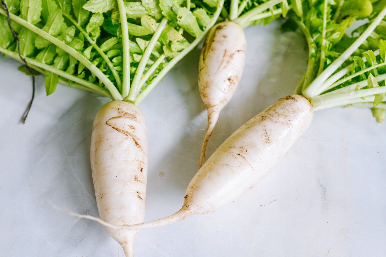Buy Luobo Bai - Taiwanese White Radish For Delivery Near You | Farm To ...