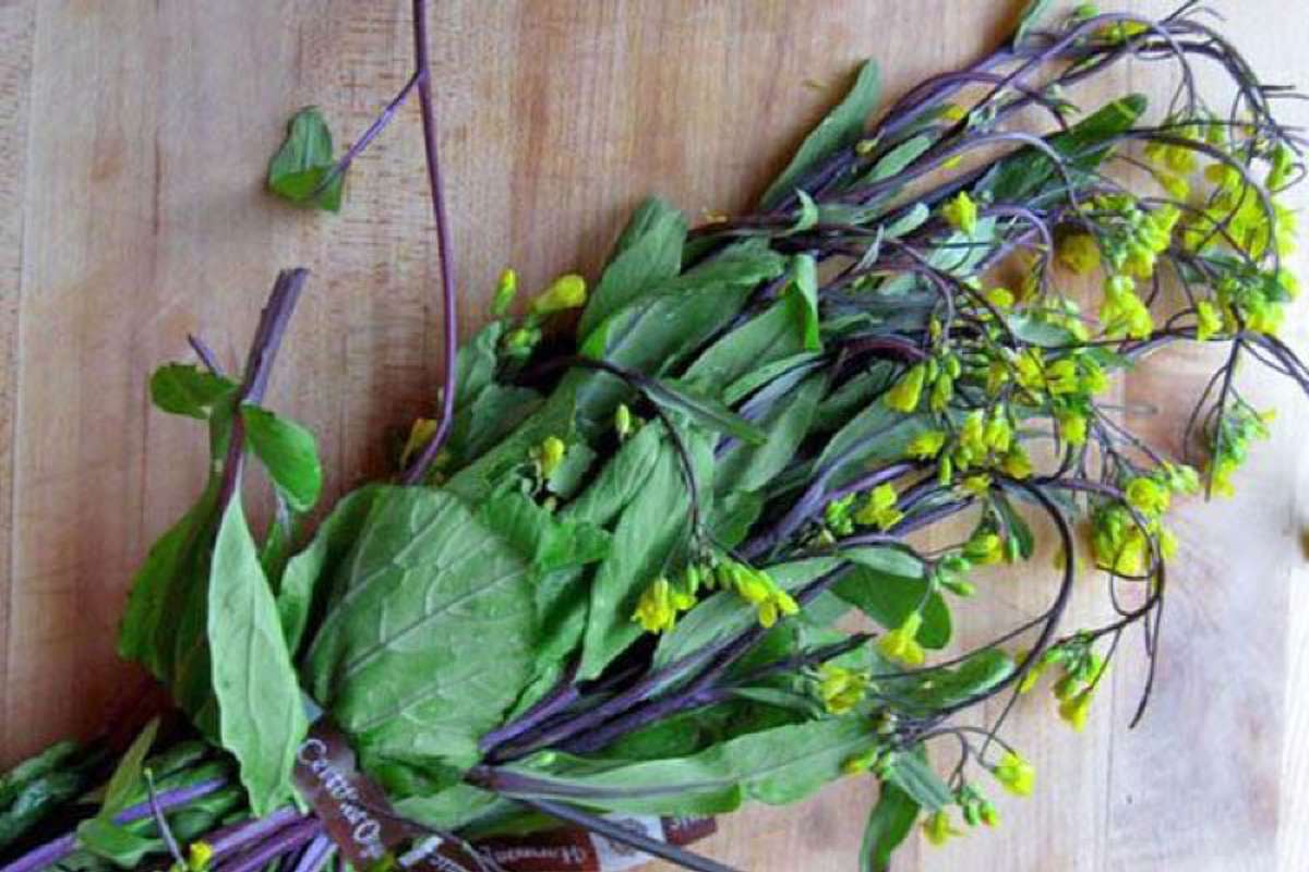 Buy Hon Tsai Tai For Delivery Near You | Farm To People