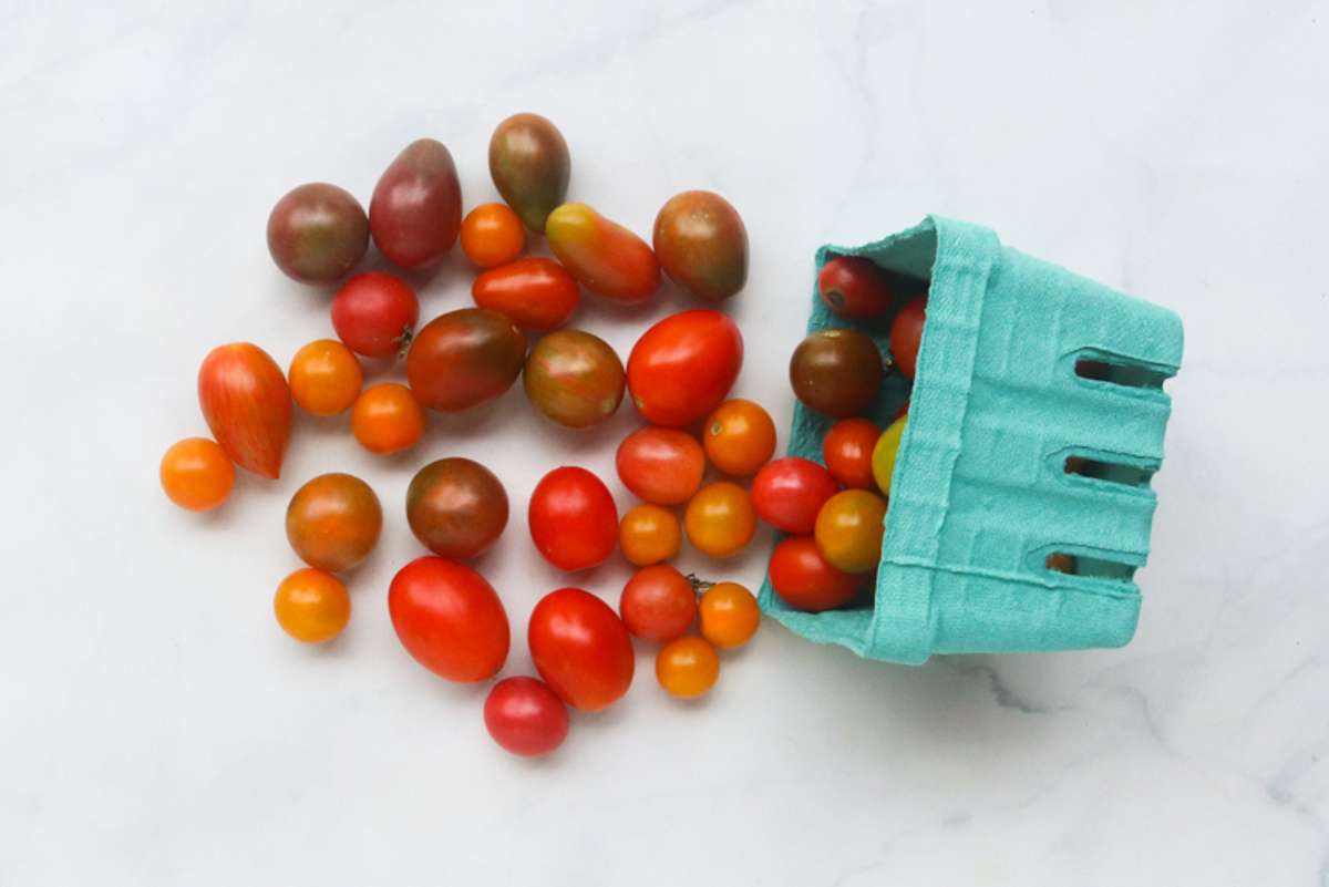 Buy Mixed Cherry Tomatoes (Organic) For Delivery Near You | Farm To People