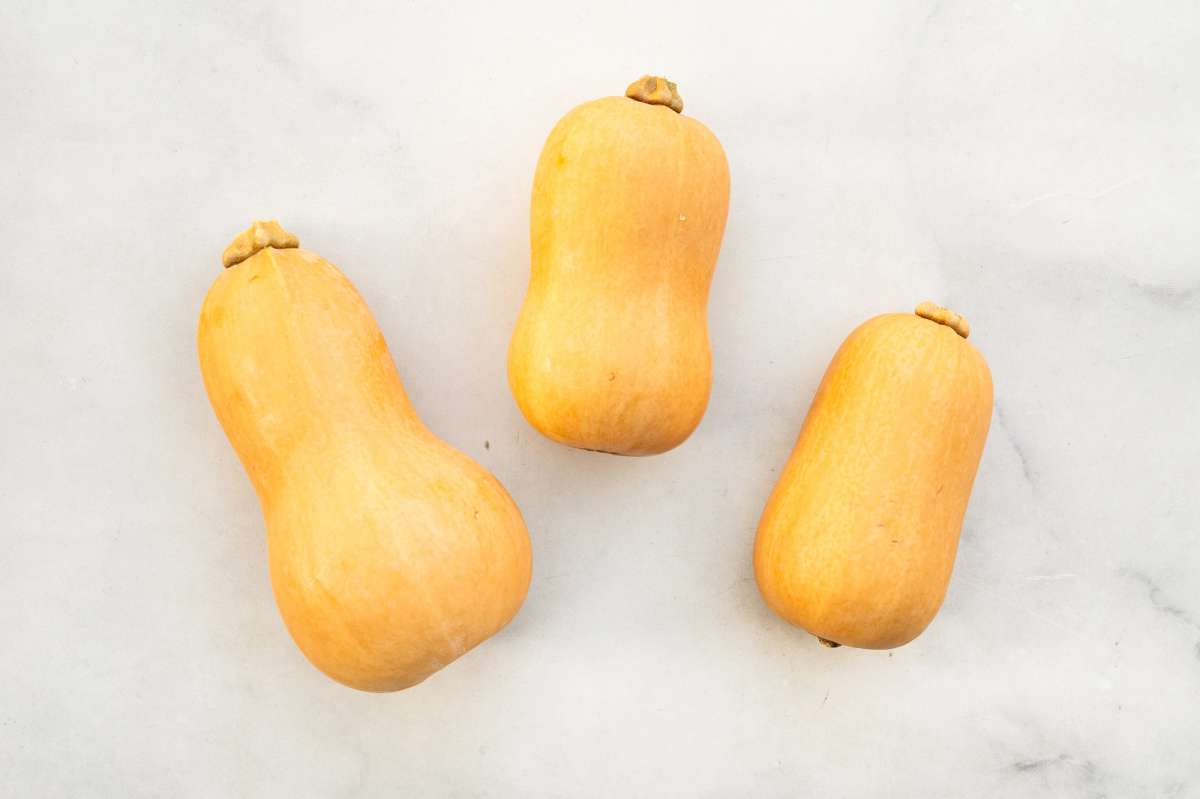 Buy Baby Butternut Squash For Delivery Near You | Farm To People