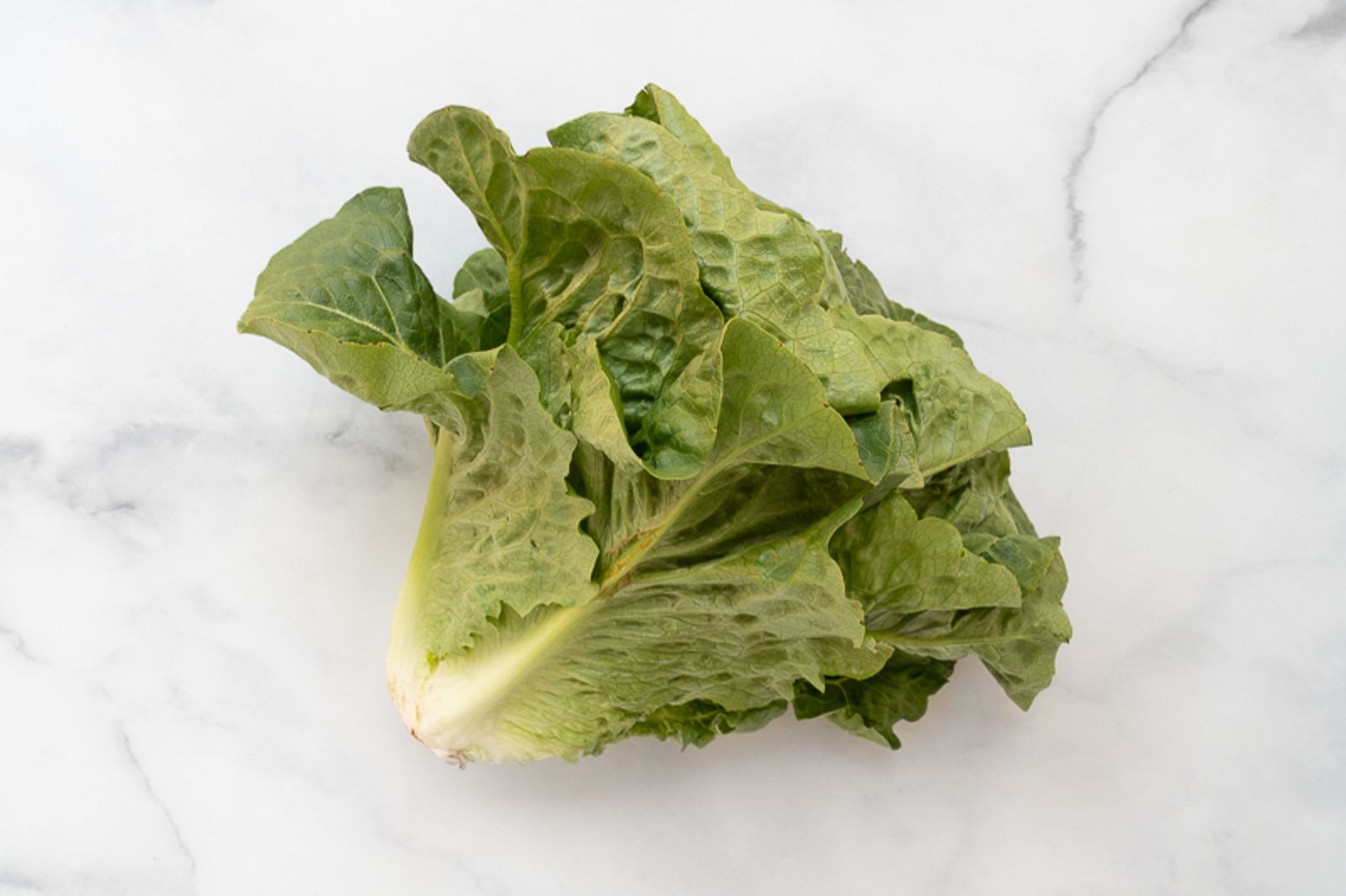 Vegetables Delivered Farm Fresh To You | Farm To People