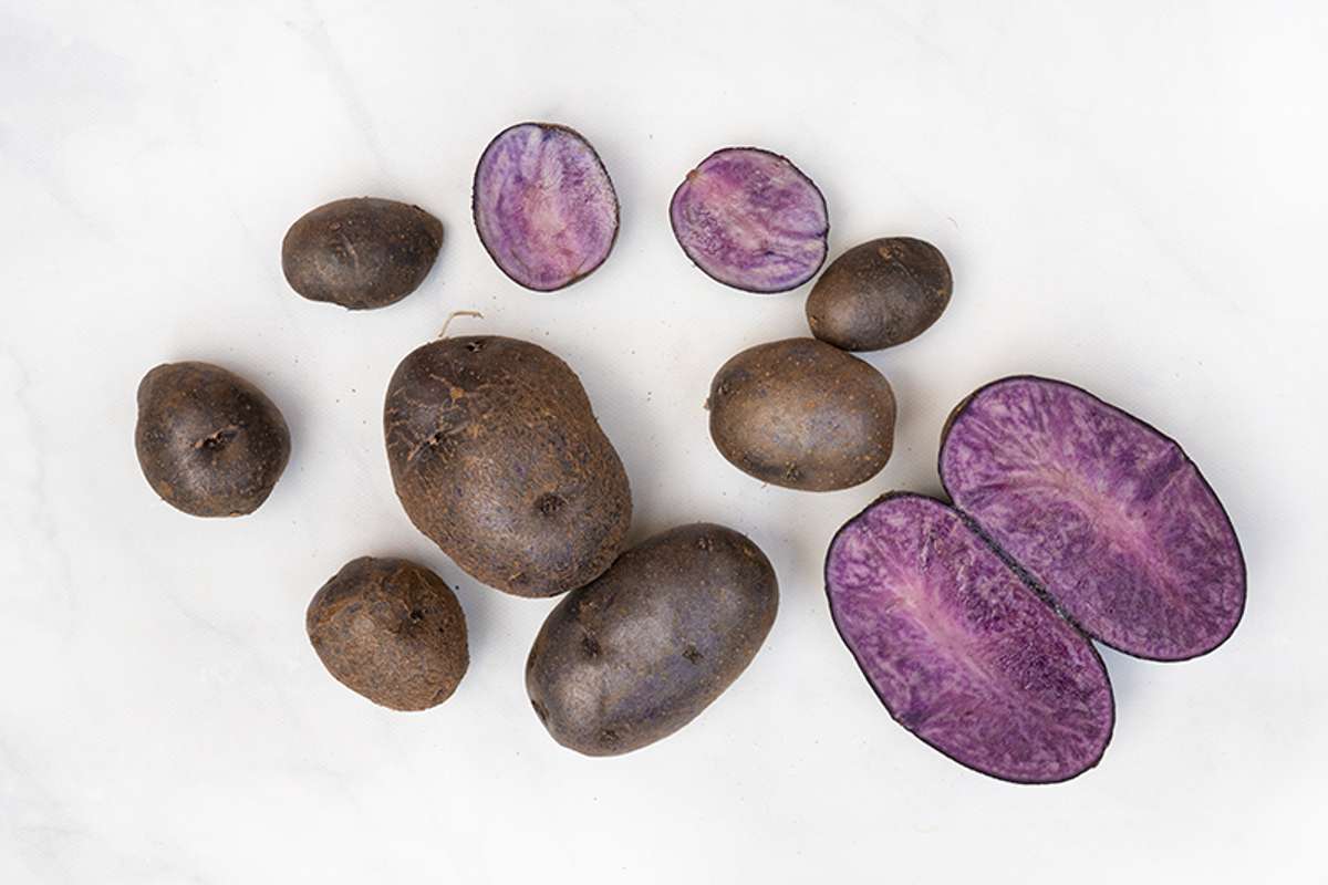 Buy Adirondack Blue Potatoes For Delivery Near You | Farm To People