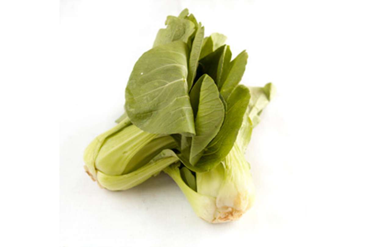 Buy Mature Bok Choy For Delivery Near You | Farm To People