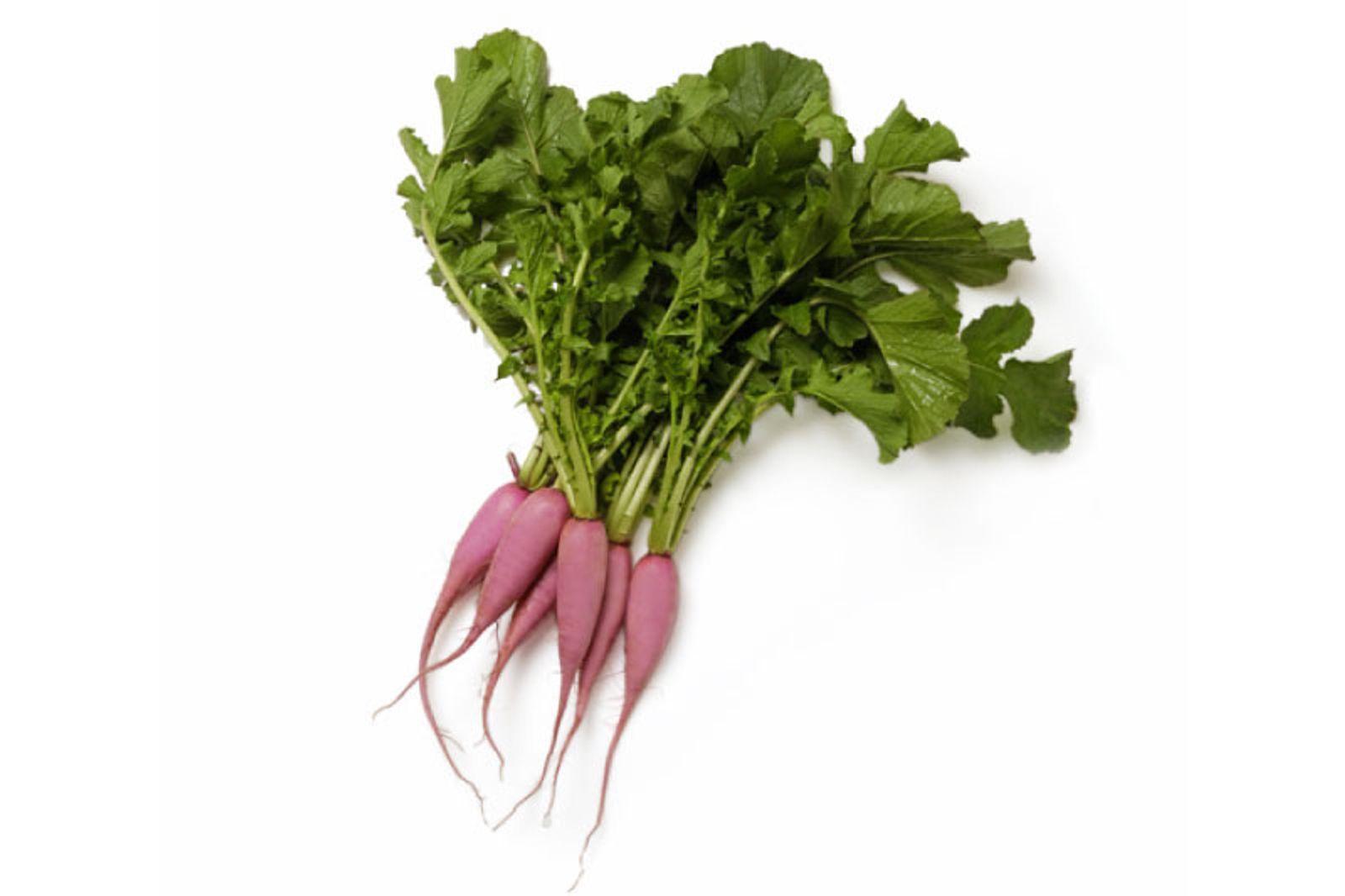 Buy Purple Ninja Radish For Delivery Near You | Farm To People