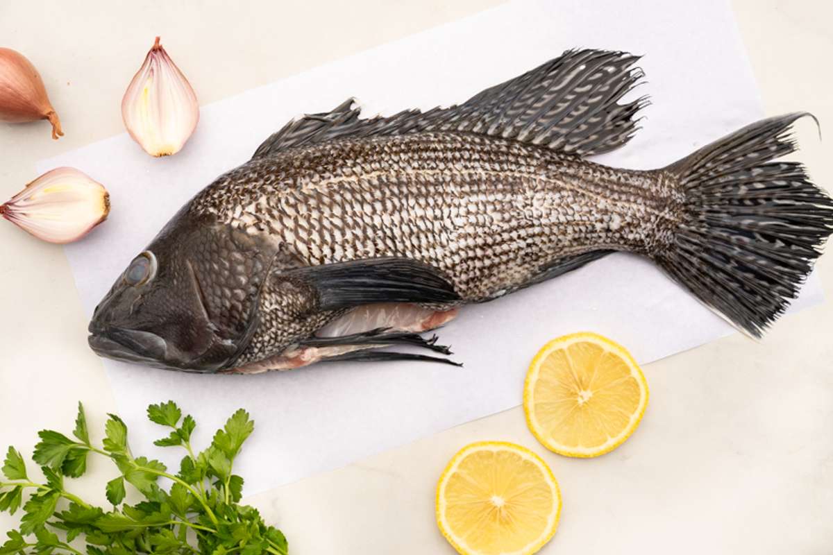 Buy Local Whole Black Sea Bass For Delivery Near You | Farm To People