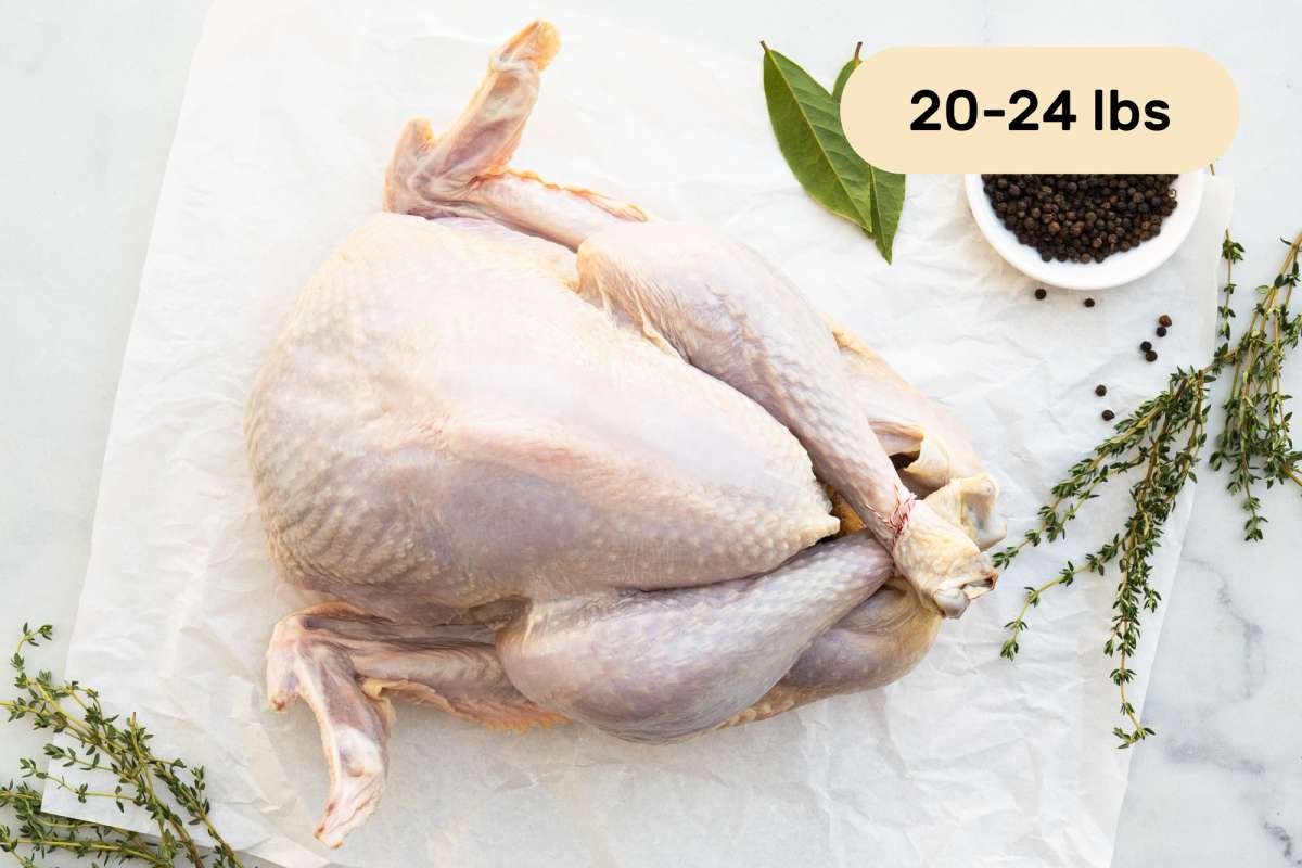Buy Heritage Black Turkey (20-24 lbs) For Delivery Near You | Farm To ...