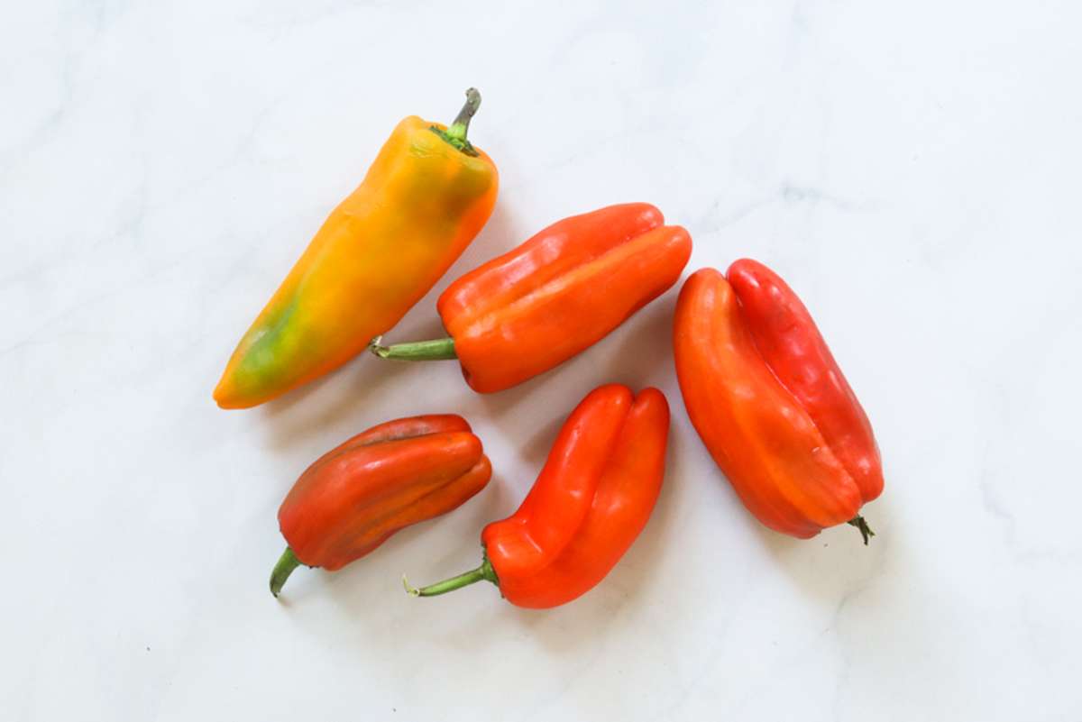 Buy Cornito Peppers For Delivery Near You | Farm To People