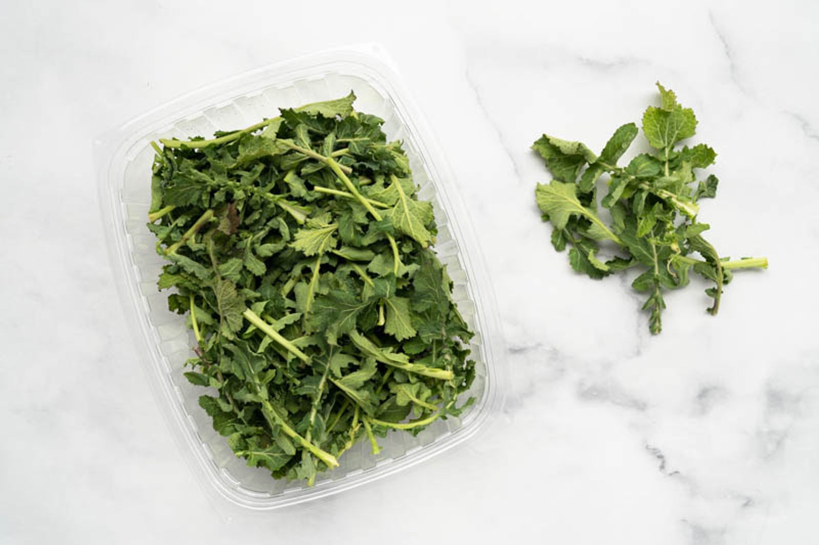 Buy Wild Foraged Broccoli Rabe For Delivery Near You | Farm To People