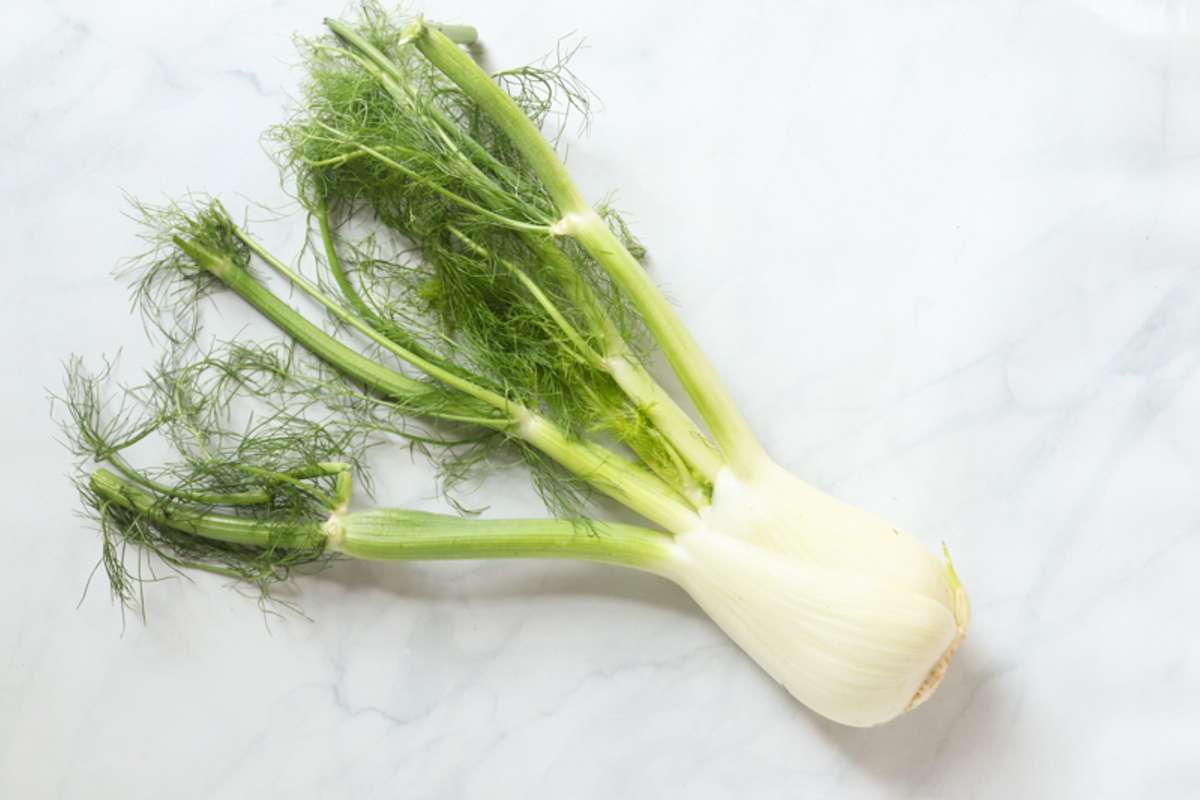 Buy Fennel (Organic) For Delivery Near You | Farm To People