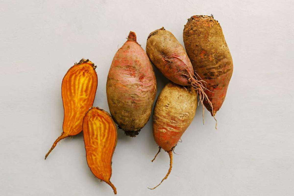 Buy Gold or Badger Flame Beets For Delivery Near You | Farm To People