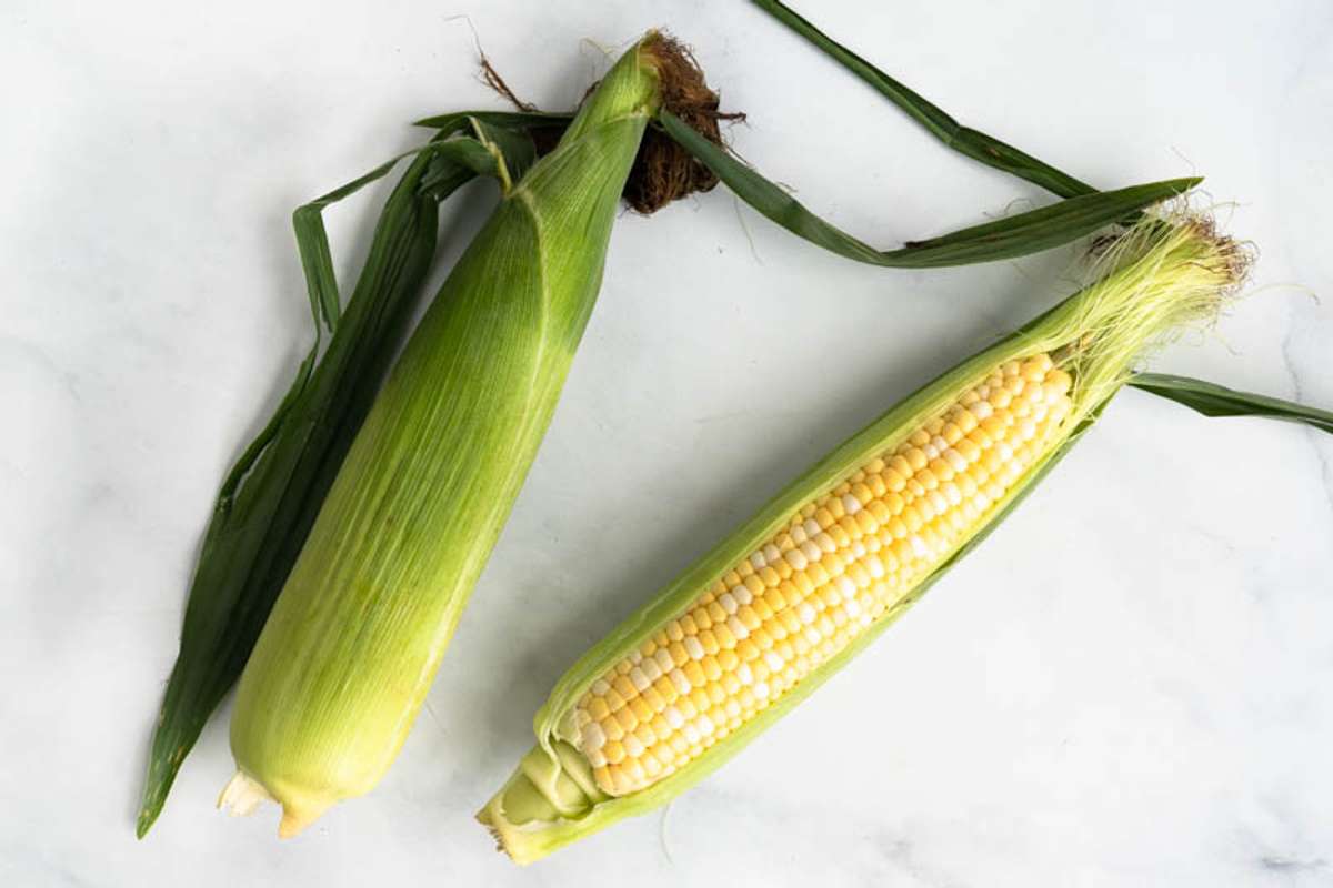 Buy Organic Sweet Corn For Delivery Near You | Farm To People