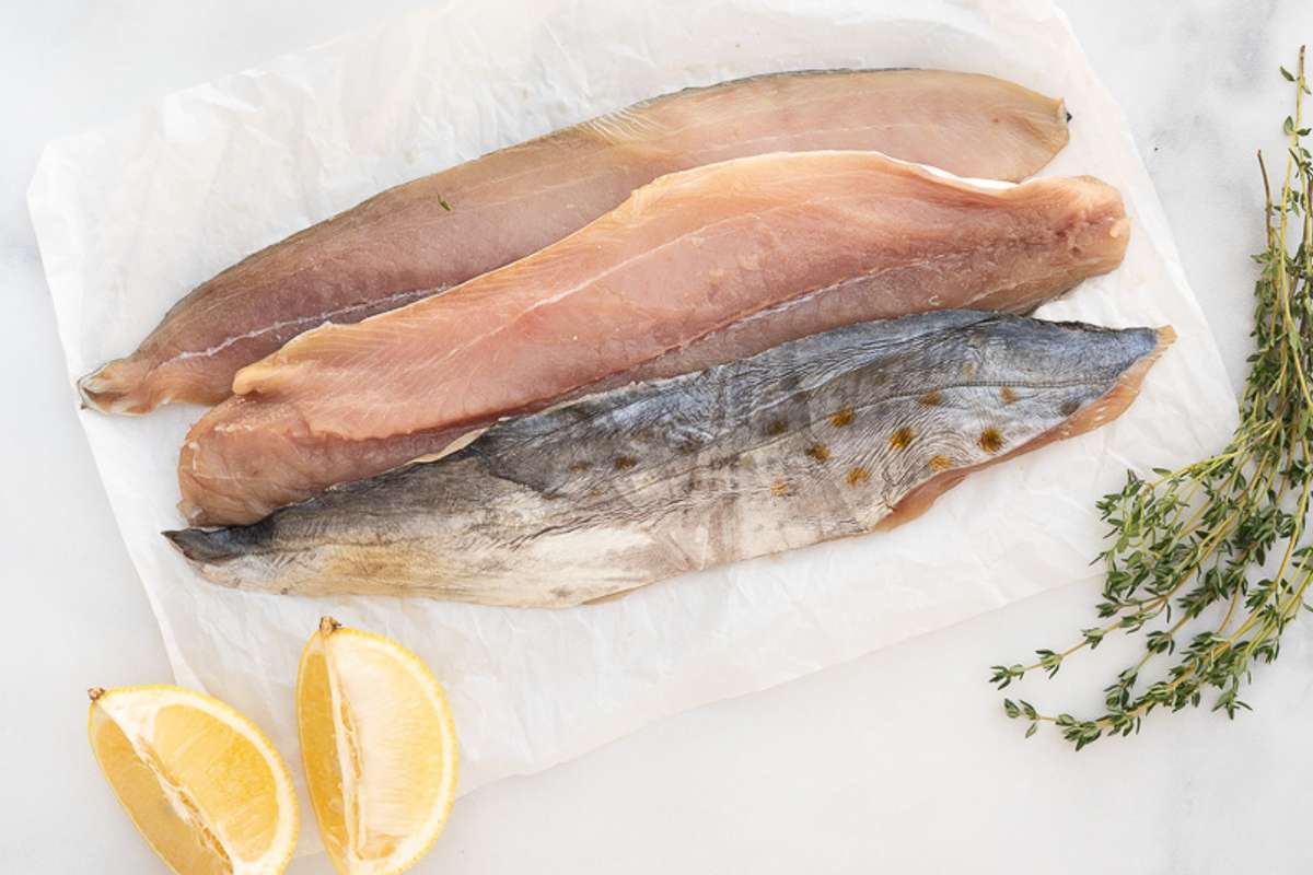 Buy Spanish Mackerel For Delivery Near You | Farm To People