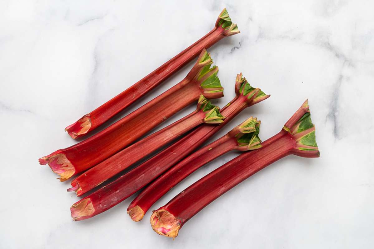Buy Rhubarb For Delivery Near You | Farm To People