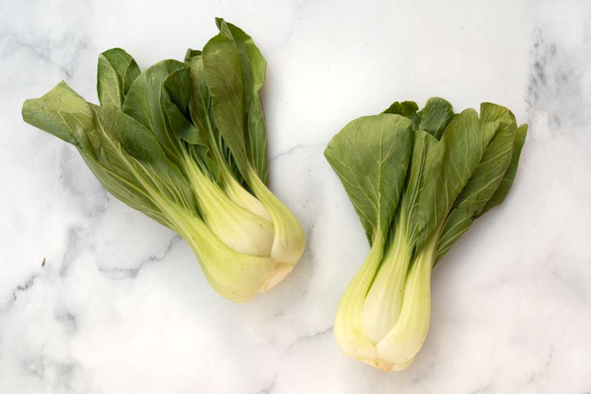 Buy Small Bok Choy (Organic) For Delivery Near You | Farm To People